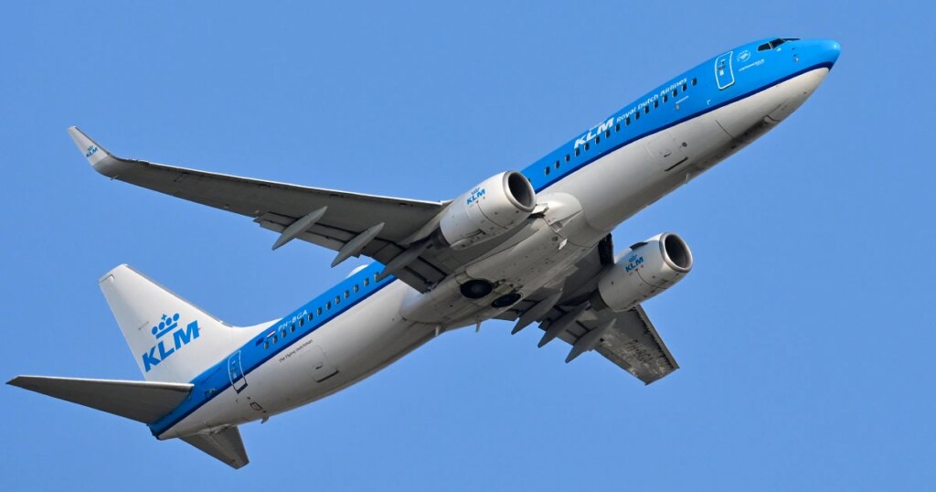 Family Files Lawsuit Against Delta and KLM After Bedbug Attack During ...