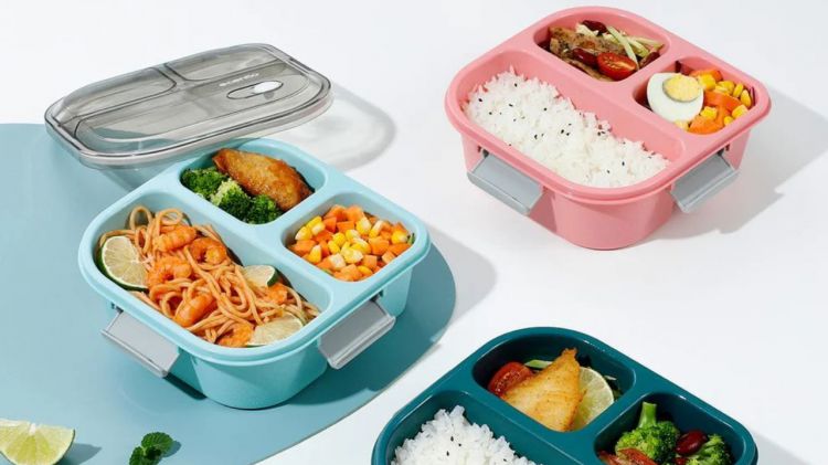 9 Rekomendasi Kotak Makan Ecentio Terbaik di Bawah Rp100 Ribu, Simpel ...