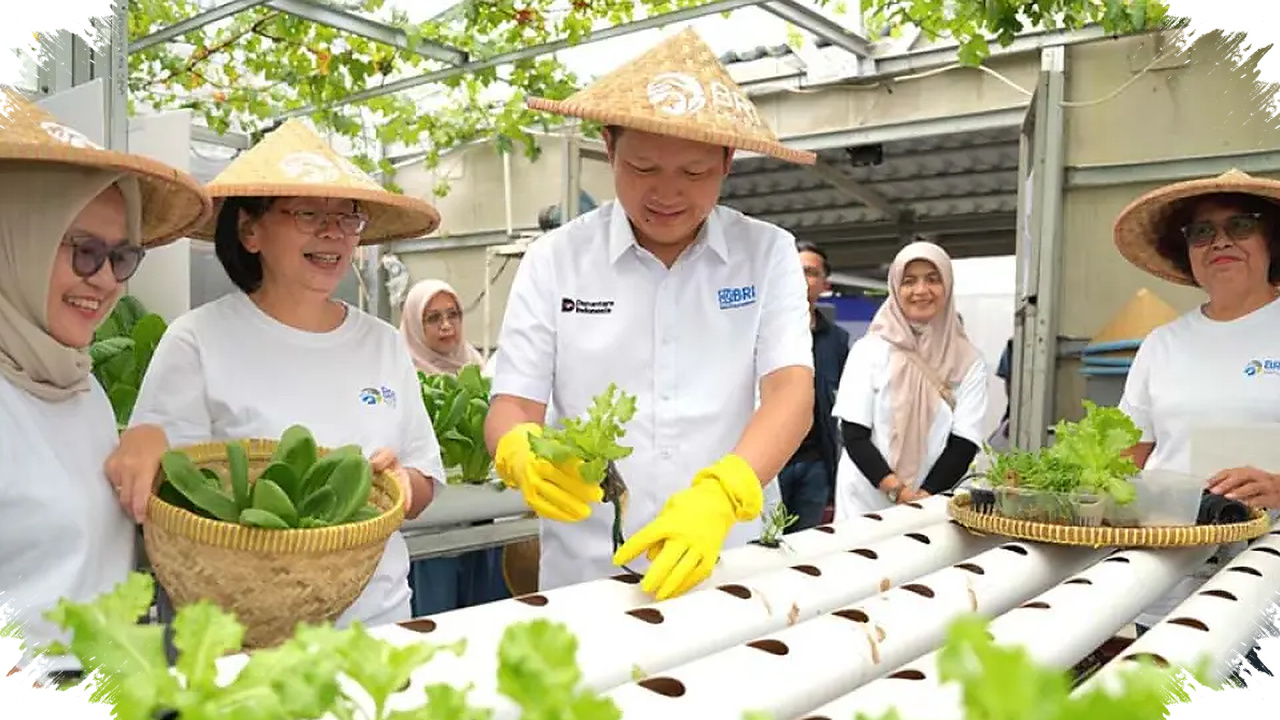 Lahan Terbengkalai 1.500 Meter Persegi Disulap Jadi Hidroponik, Warga ...